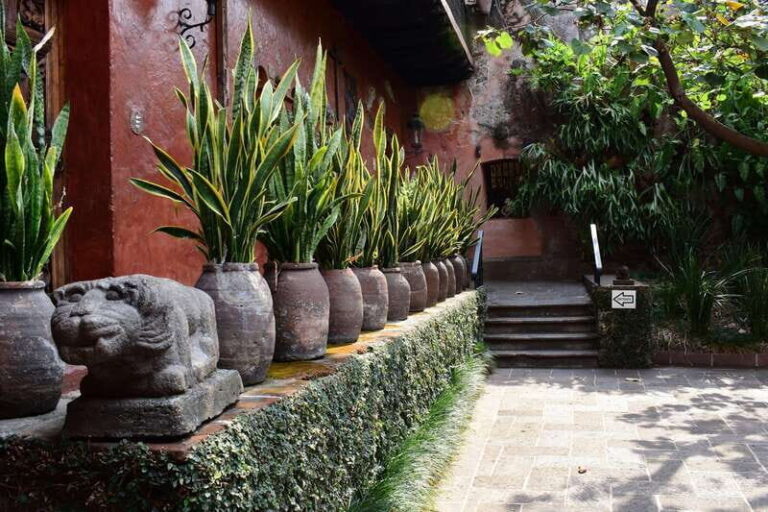 Cuernavaca: Museo Robert Brady Entrance Tickets - The collection: what’s inside?