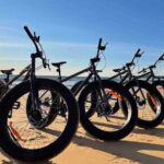 Culburra Beach FAT bike tour - Summary