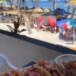 Culinary Adventure Cafe Jaguar Cooking Class Costa Maya - What Past Participants Say (Based on Existing Reviews)