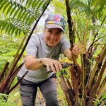 Cultivate Hapuu Ferns with Citrus Tea in the Hawaiian Rainforest - Walking Through the Itinerary