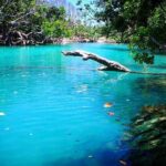 Cultural Experience & Blue Lagoon with Yumi Tours - The Value for Money