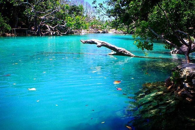 Cultural Experience & Blue Lagoon with Yumi Tours - The Value for Money