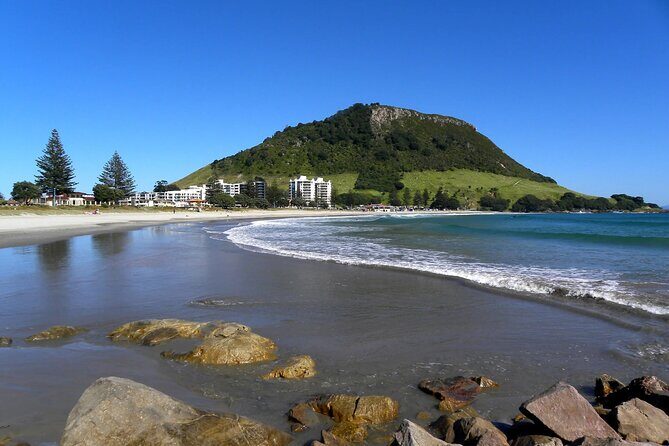 Cultural Rotorua Private Tour Tauranga Port. Whakarewarewa Ticket - Return to Tauranga
