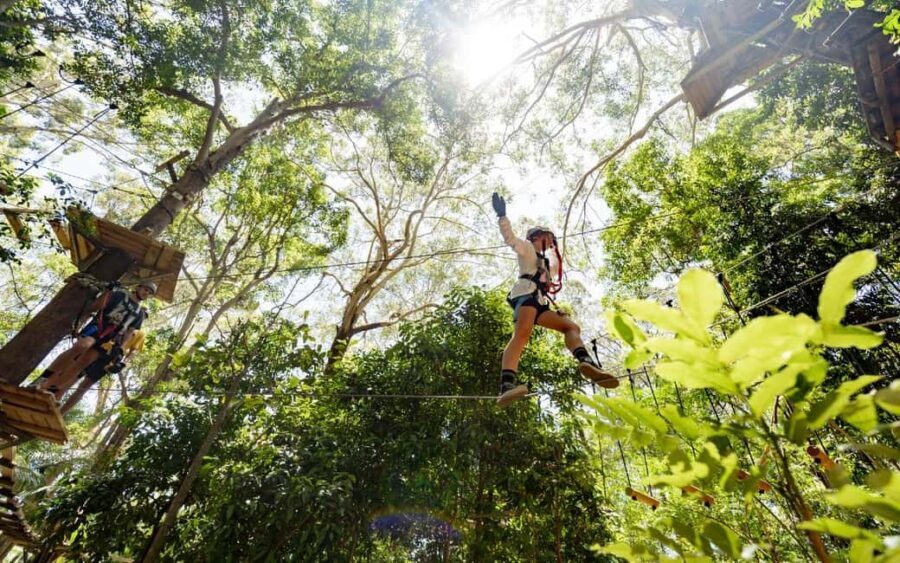 Currumbin: Treetop Challenge Adventure Park - Practical Details and Preparation