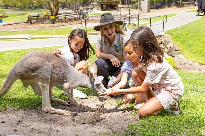 Currumbin Wildlife Sanctuary & Burleigh Heads Private Tours - What’s Included and What’s Not