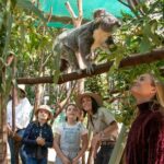 Currumbin Wildlife Sanctuary General Entry Ticket - Who Should Visit Currumbin Wildlife Sanctuary?