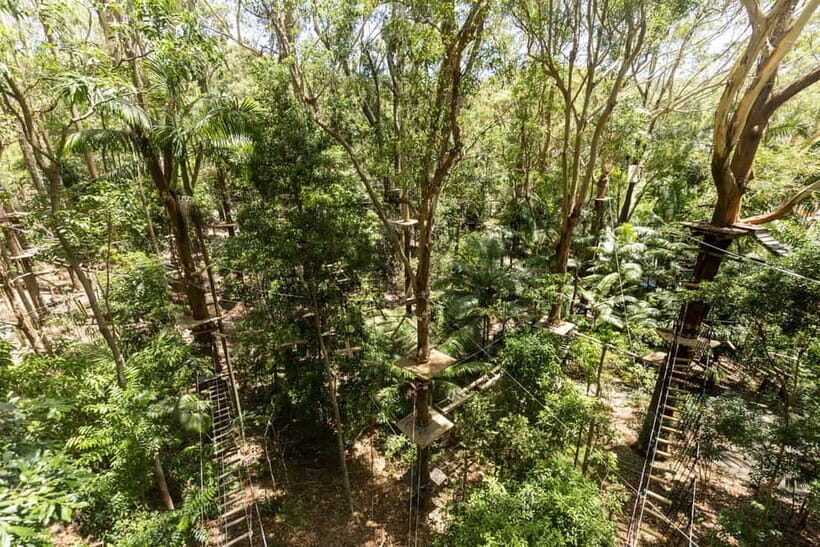 Currumbin Wildlife Sanctuary & TreeTop Challenge Combo - Practical Details: What to Bring and What to Know