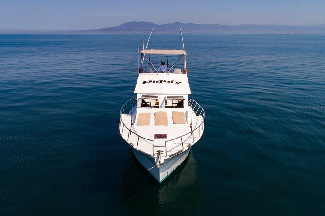 Custom 46' Boat in Puerto & Nuevo Vallarta - Why Choose This Tour?