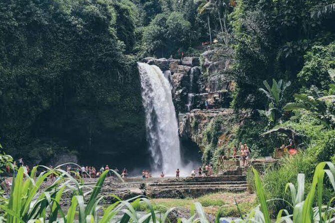 Custom Day Trip in Bali - The Practical Side: Transportation, Price, and Duration