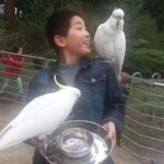 Custom Private Day Tour Melbourne to all surrounding areas for up to 11 people - FAQs about the Custom Private Melbourne Day Tour