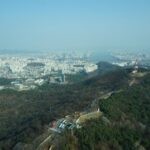 Customized Private Seoul tour: Palace, Market etc(Airport Option) - Why Choose This Private Seoul Tour?