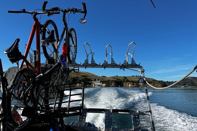 Cycle Ferry, Dunedin Harbour Cycle Trail - Who should consider this tour?