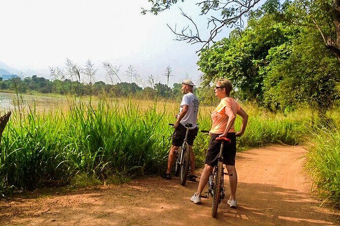 Cycling from Tissamaharama - What to Expect from Your Cycling Tour in Tissamaharama