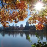 Cycling the Seawall: A Self-Guided Audio Tour Along the Stanley Park Seawall - Authentic Experiences & Practical Tips