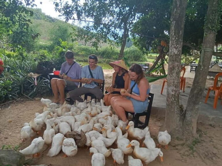 Cycling Through Countryside and Cooking Class in Duck Stop - Authentic Experiences and Traveler Insights