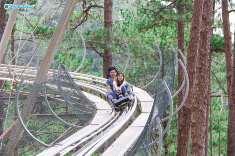 Da Lat: Datanla New Alpine Coaster Experience Entry Ticket - Who Will This Experience Suit?