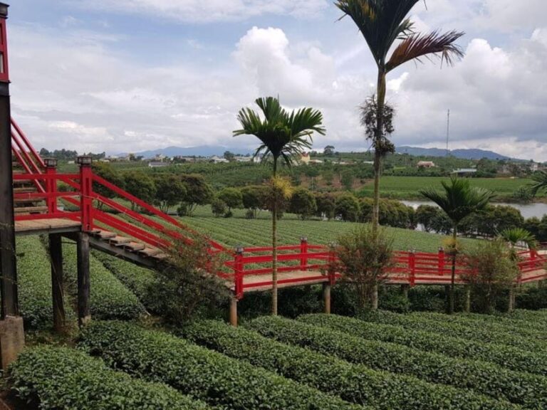 Da Lat: Explore Countryside trip with Motorbike Rider - What You’ll Love About This Tour