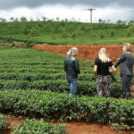 Da Lat: Silk, Coffee, Tea & the Spirit of Kho Full-Day Tour - What to Expect from the Da Lat Silk, Coffee, Tea & Kho Spirit Tour