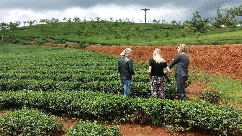 Da Lat: Silk, Coffee, Tea & the Spirit of Kho Full-Day Tour - What to Expect from the Da Lat Silk, Coffee, Tea & Kho Spirit Tour