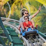 Da Nang: Golden Bridge & Ba Na Hill with Buffet - Full day from Da Nang city - Practical Considerations & Value