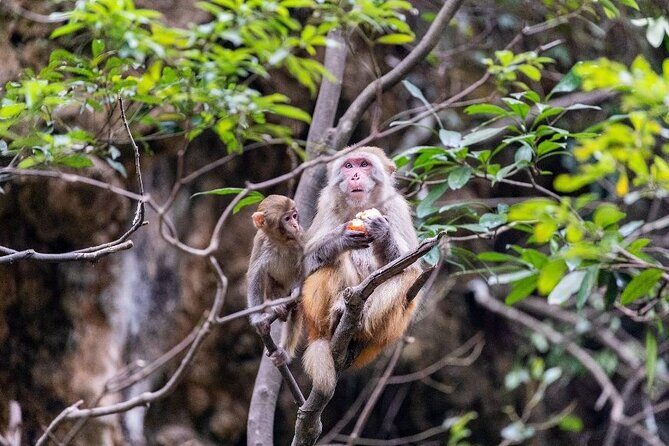 Da Nang Hoi An 5 days 4 nights Tour - The Experience: What Stands Out and What to Keep in Mind