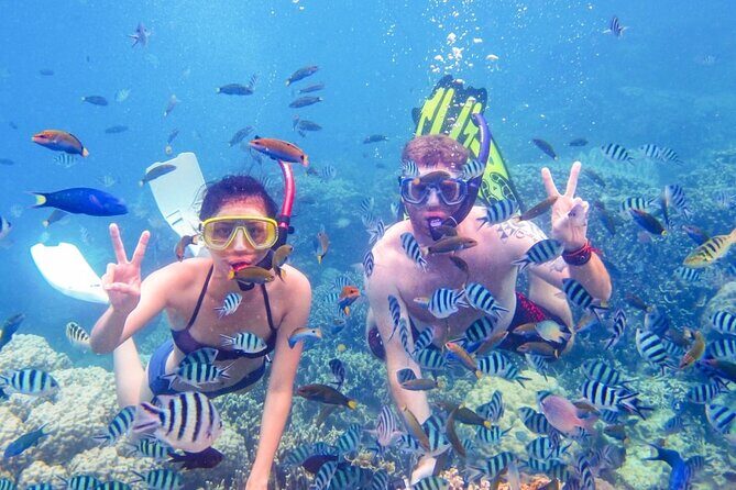 Da Nang/Hoi An: Cham Island Snorkeling, Sunbathing, Nice Beaches - Practical Tips for Future Travelers