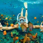 Da Nang/Hoi An: Diving in Cham Islands with an instructor - Is It Worth the Price?