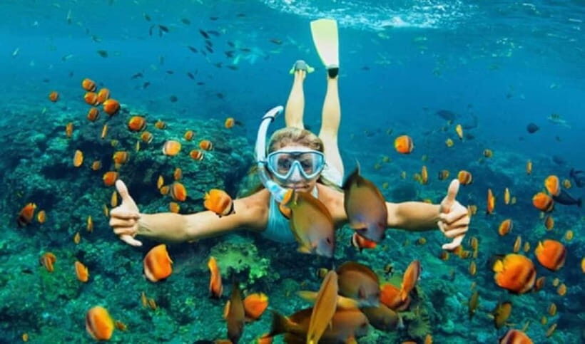 Da Nang/Hoi An: Diving in Cham Islands with an instructor - Is It Worth the Price?