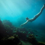 Da Nang: Son Tra Peninsula Exploration - Snorkeling, Fishing - Practicalities and What to Expect