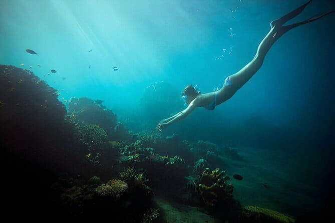 Da Nang: Son Tra Peninsula Exploration - Snorkeling, Fishing - Practicalities and What to Expect