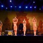 Da Nang: "Tien Sa Show" Ticket - Authentic Reviews and What They Tell Us