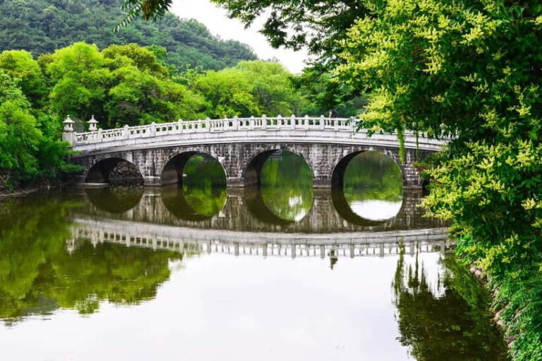 Daegu: Private Taxi Tour Car Charter - What to Expect During Your Daegu Taxi Tour