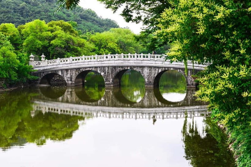 Daegu: Private Taxi Tour Car Charter - What to Expect During Your Daegu Taxi Tour