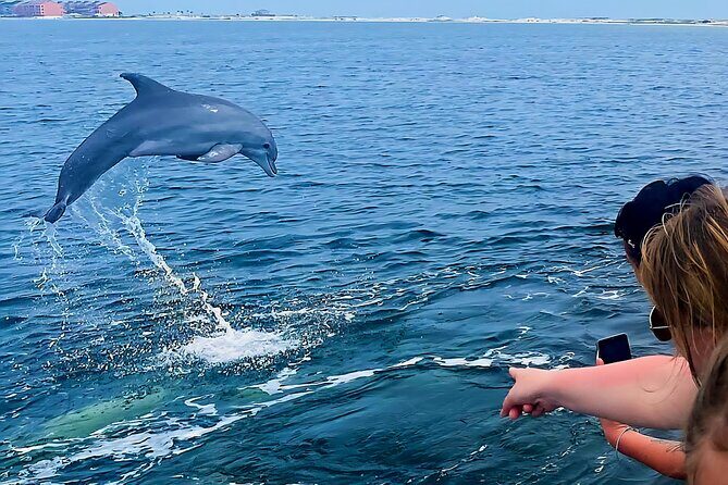 Daily Dolphin Cruise + Sightseeing Tour on Pensacola Beach - Why This Tour Excels