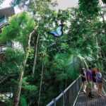 Daintree Discovery Centre Family Pass Ticket - Who Should Consider This Tour?