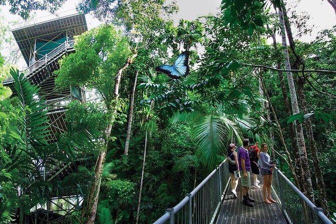 Daintree Discovery Centre Family Pass Ticket - Who Should Consider This Tour?