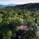 Daintree Discovery Centre Single Pass - Who Will Enjoy This Tour?