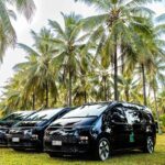 Daintree Eco Lodge to Cairns ONE WAY Private Transfer 6 pax - The Sum Up: Who Is This Transfer Best For?