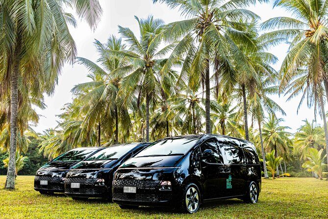 Daintree Eco Lodge to Cairns ONE WAY Private Transfer 6 pax - The Sum Up: Who Is This Transfer Best For?