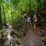 Daintree Rainforest: Magic Waterfall Walk with Lunch & Swim - Final Thoughts