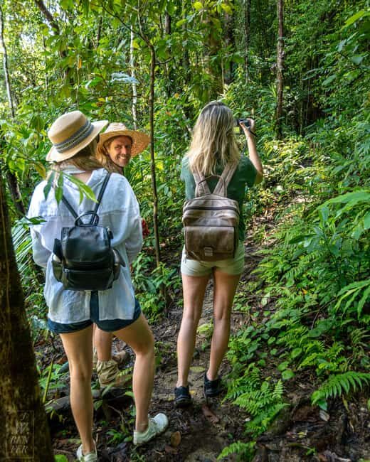 Daintree Rainforest: Waterfall Walk, Swim & Crocodile Cruise - FAQ