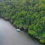 Daintree River Cruise - The value of the experience