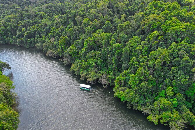 Daintree River Cruise - The value of the experience