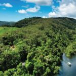 Daintree: River Rainforest Crocodile & Wildlife Cruise (DV) - What’s Included and How It Works