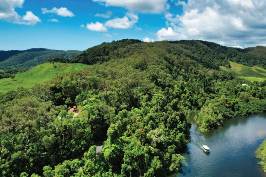 Daintree: River Rainforest Crocodile & Wildlife Cruise (DV) - What’s Included and How It Works