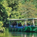 Daintree River Rainforest: Crocodile & Wildlife Cruises (DG) - What to Expect from Your Cruise