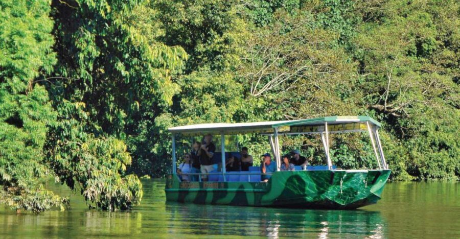 Daintree River Rainforest: Crocodile & Wildlife Cruises (DG) - What to Expect from Your Cruise
