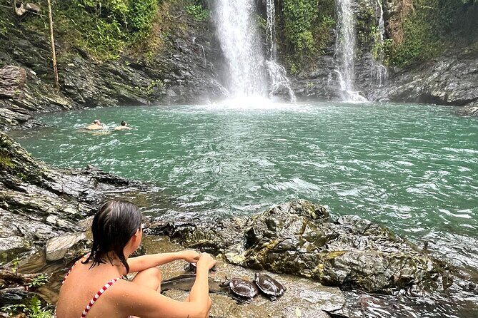 Daintree Waters Tour - From the Guides to the Setting: What Really Stands Out