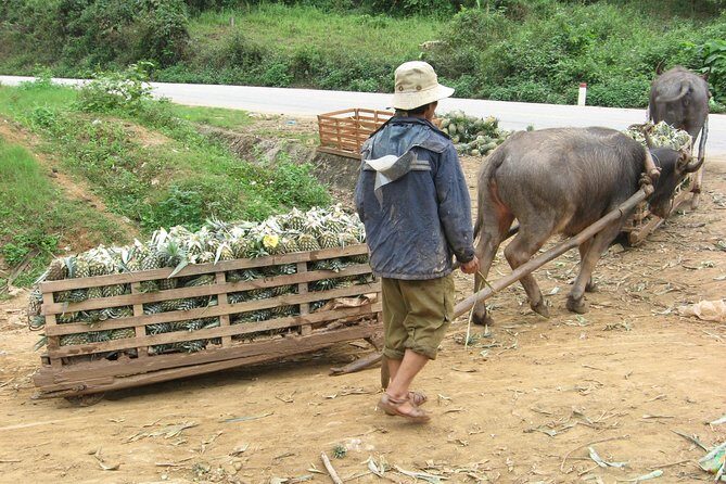 Dalat - Central Highland - Nha Trang - Authenticity and Local Flavor