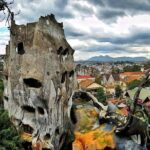 Dalat City Highlights Tour in 1 day - Insights from Reviewers